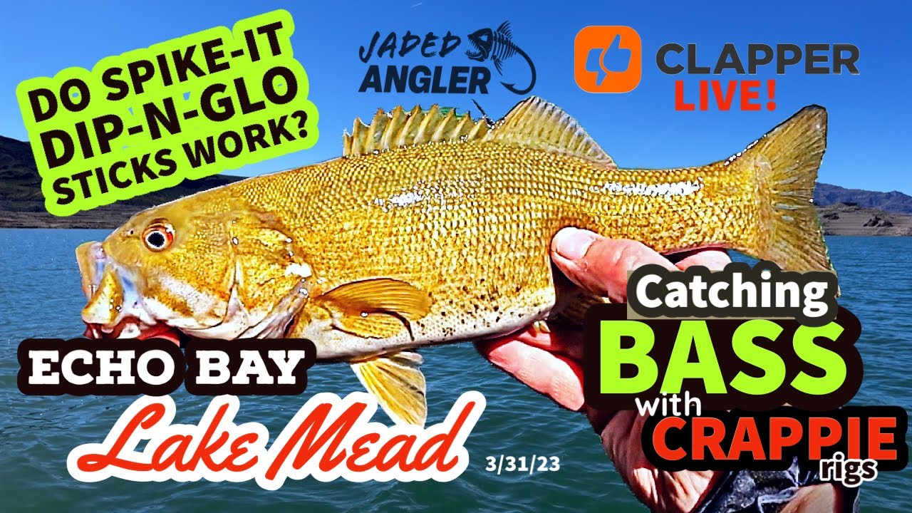 3/31/23 Echo Bay, LakeMead. Awesome Crappie and Bass Fishing with a ...