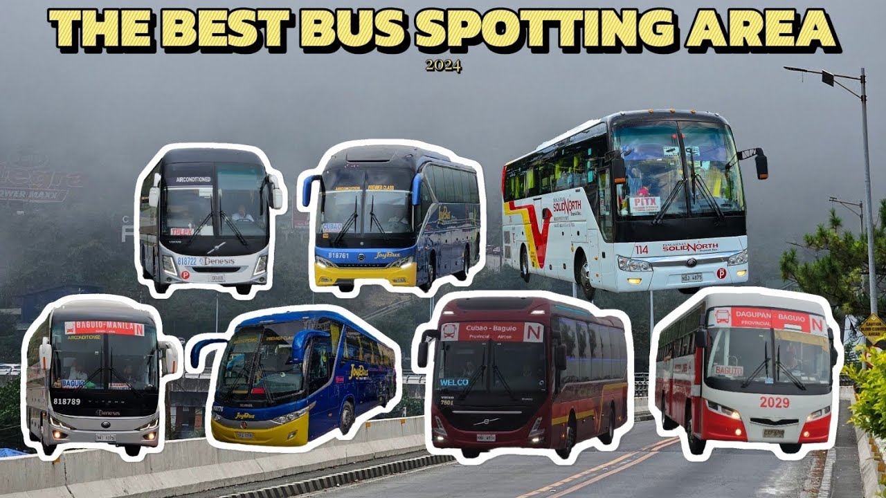 MY BEST BUS SPOTTING AREA OF 2024 - YouTube