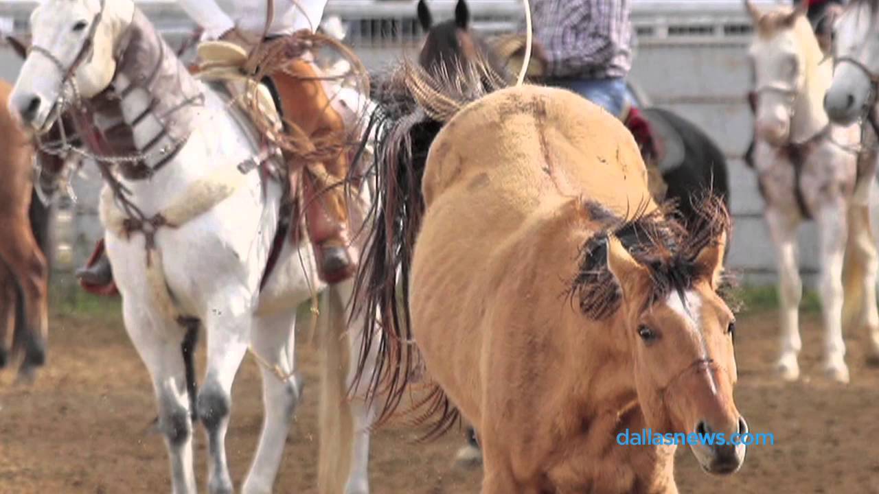 Charros in Texas thrive on tradition, family and Competition - YouTube