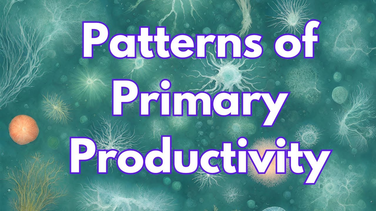 Patterns of Primary Productivity - YouTube