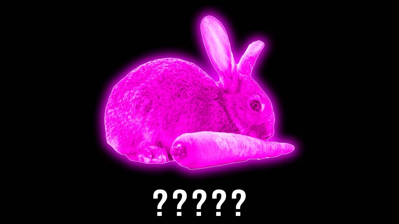 15 Rabbit "Chewing" Sound Variations in 35 Seconds | MODIFY EVERYTHING ...