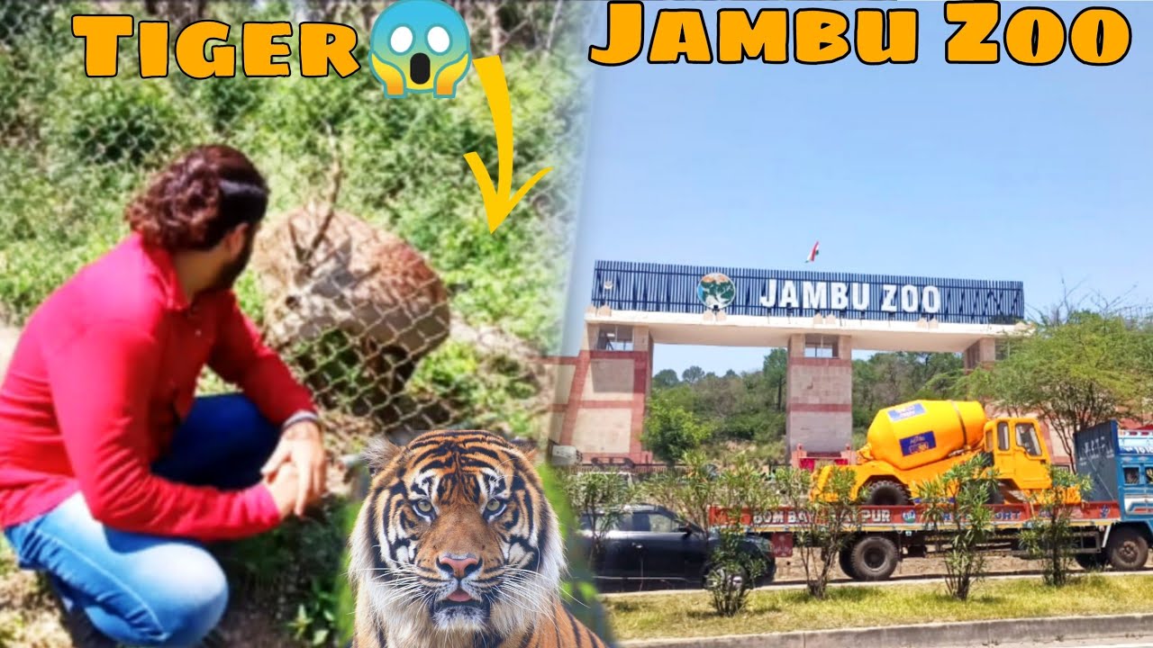 JAMBU ZOO IN JAMMU 🐯 Largest zoo in North India//🥺/ First experience is ...
