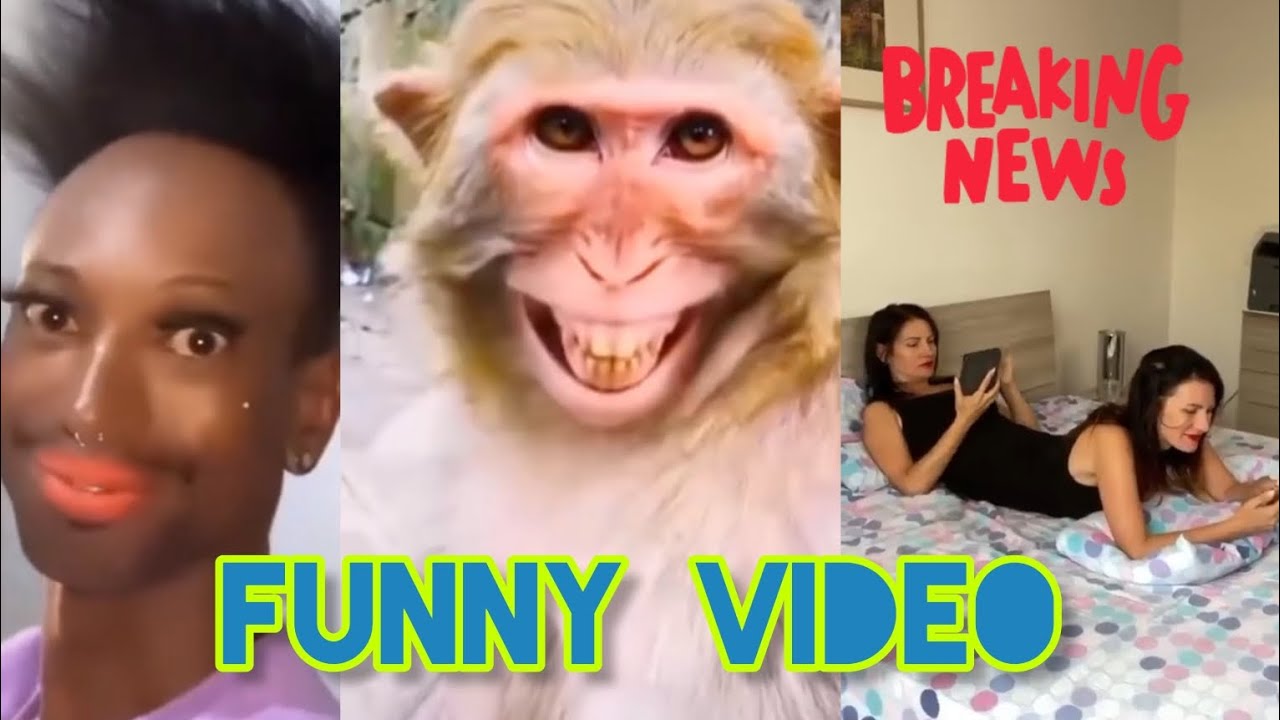 funny video || try not to laugh || funny videos 2023 || funny videos ...