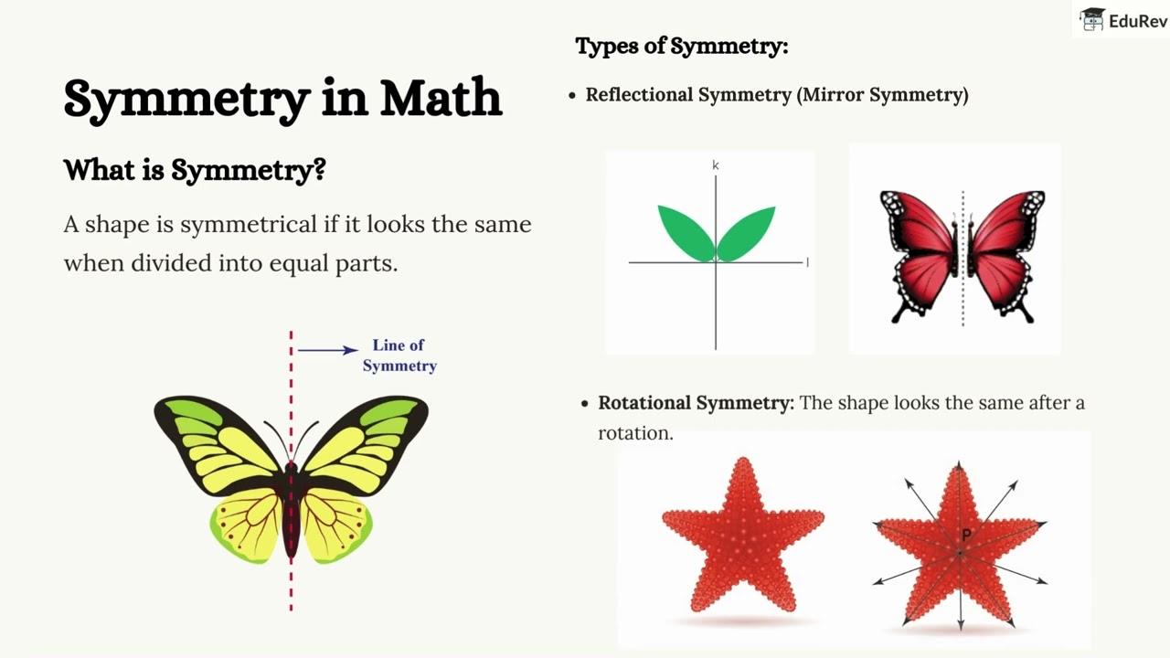 Line Of Symmetry In Nature