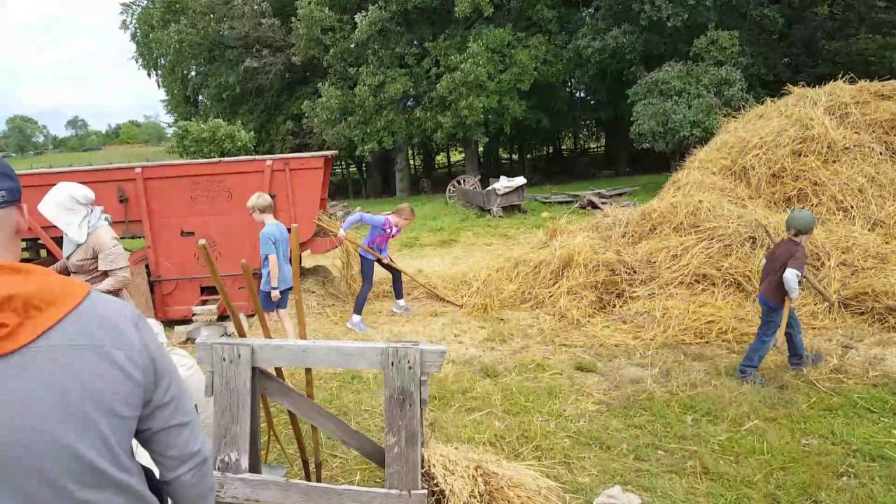 Horse powered threshing - YouTube