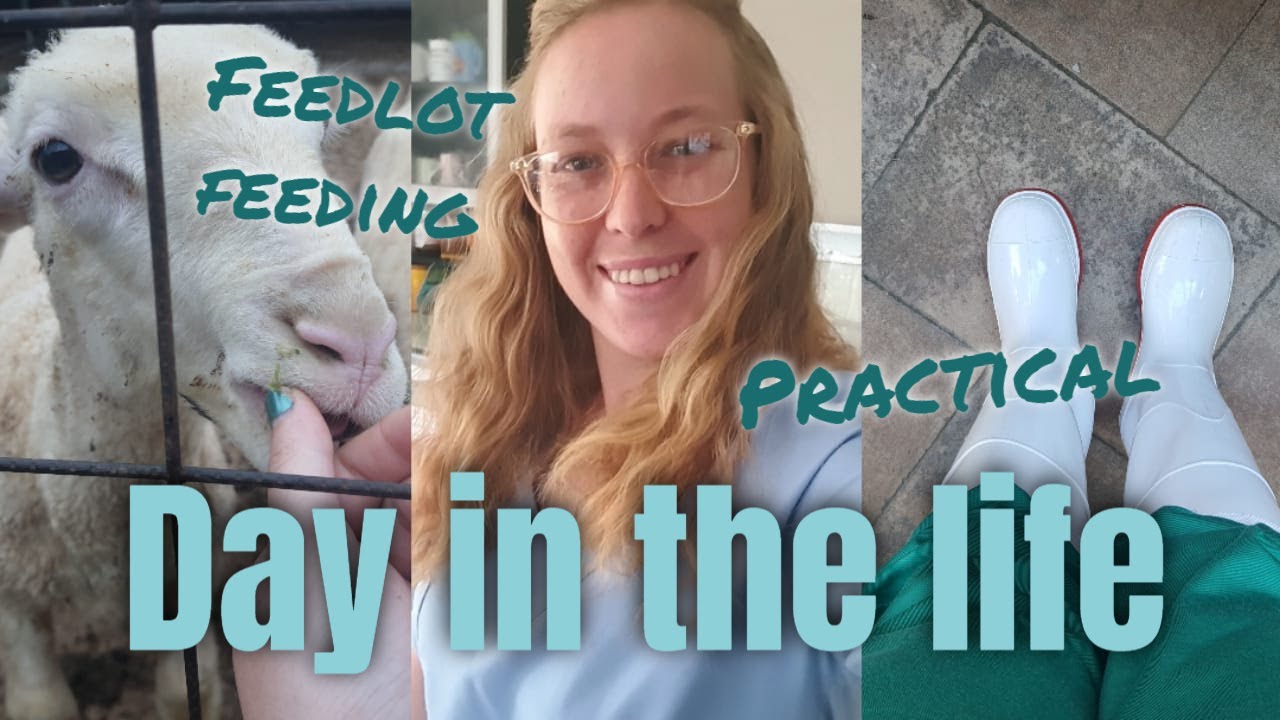 Day In The Life Of A 5th Year Vet Student // University Of Pretoria Vet ...