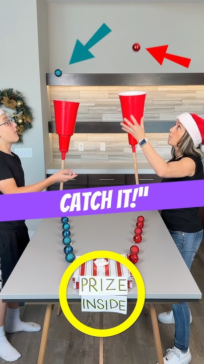 Toss, Catch, Repeat! #familygames #challenges #catch #toss #games # ...