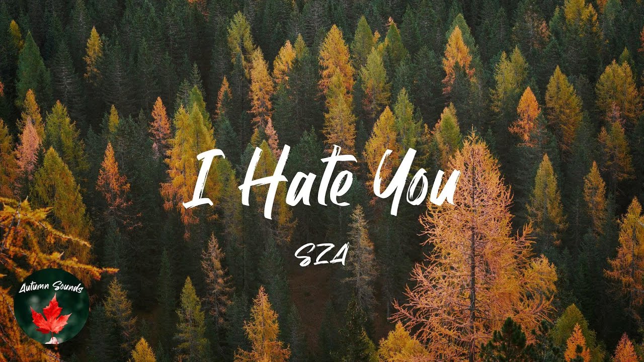 SZA - I Hate You (Lyric video) - YouTube