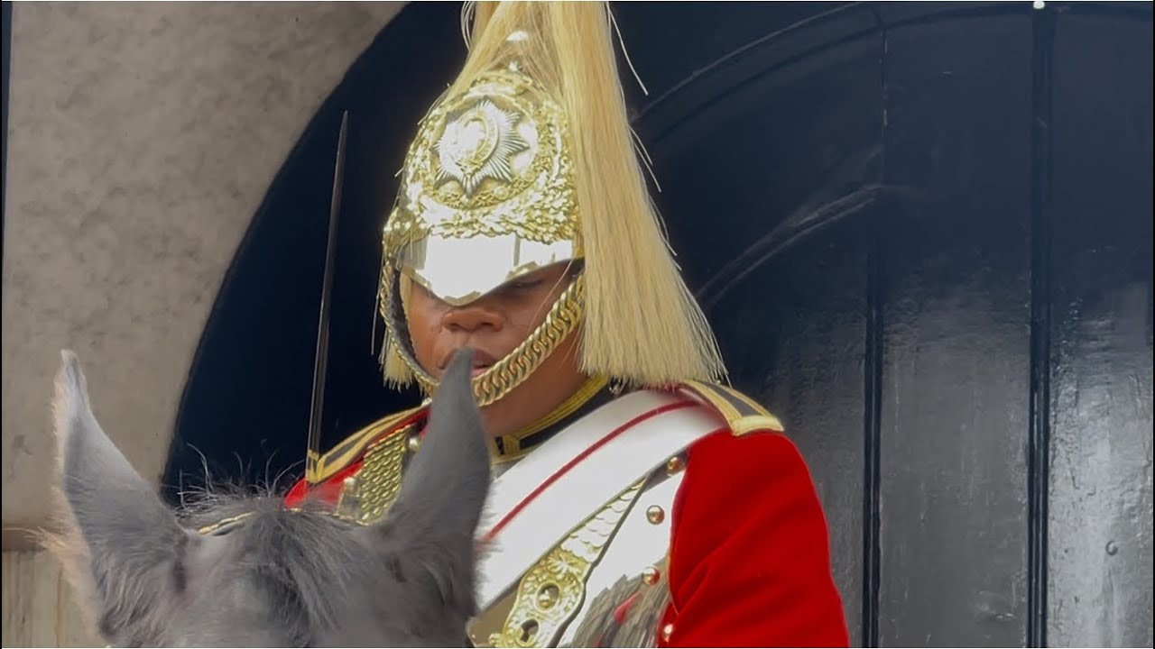Best King horse Guard! New - YouTube