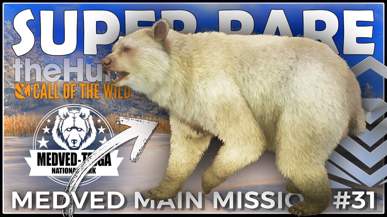 INSANE Super Rare BEAR in the MEDVED MISSIONS!!! (Main Missions) - YouTube
