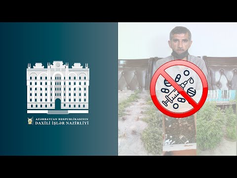 Hökməli qəsəbəsində çətənə kolları yetişdirən şəxs saxlanılıb