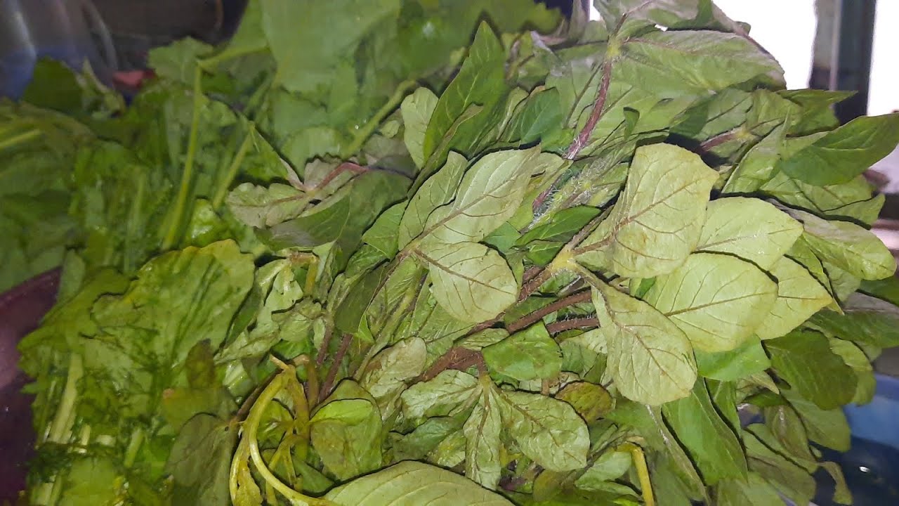 how to cook kienyeji mboga(saaaga+kanzela)+ new kitchen items + new ...