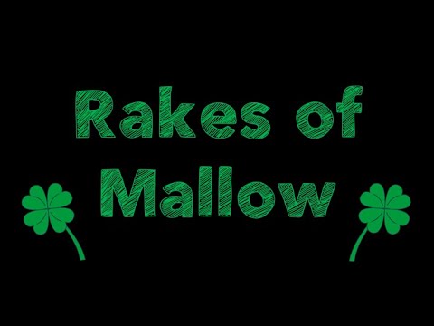 Rakes of Mallow Dance - YouTube