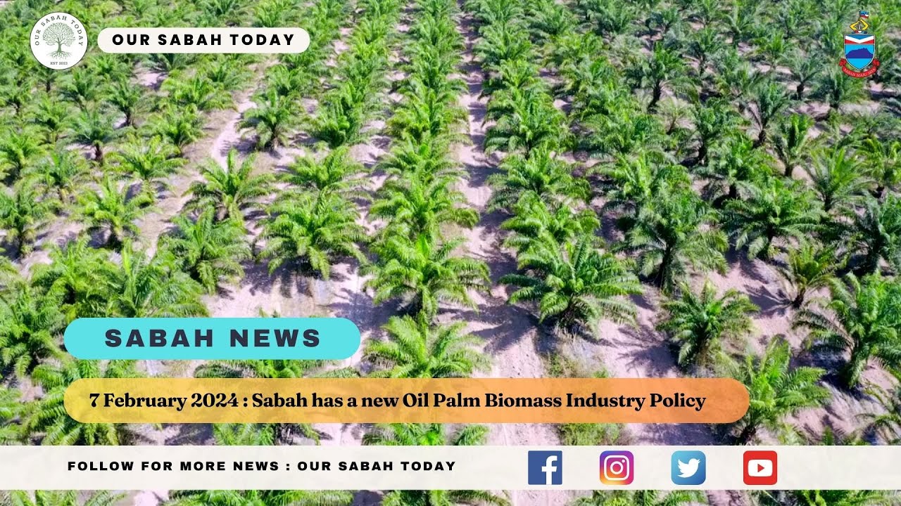 Sabah has a new Oil Palm Biomass Industry Policy - YouTube