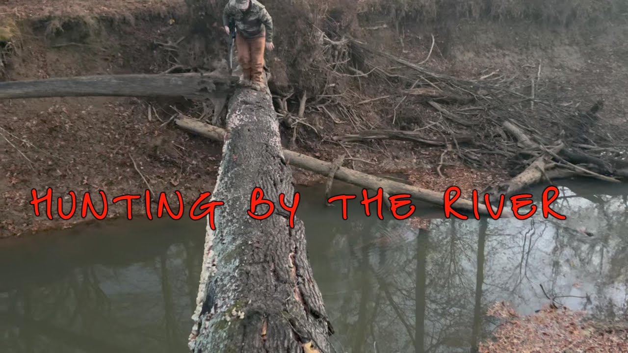 Winter Squirrel Hunting! - YouTube