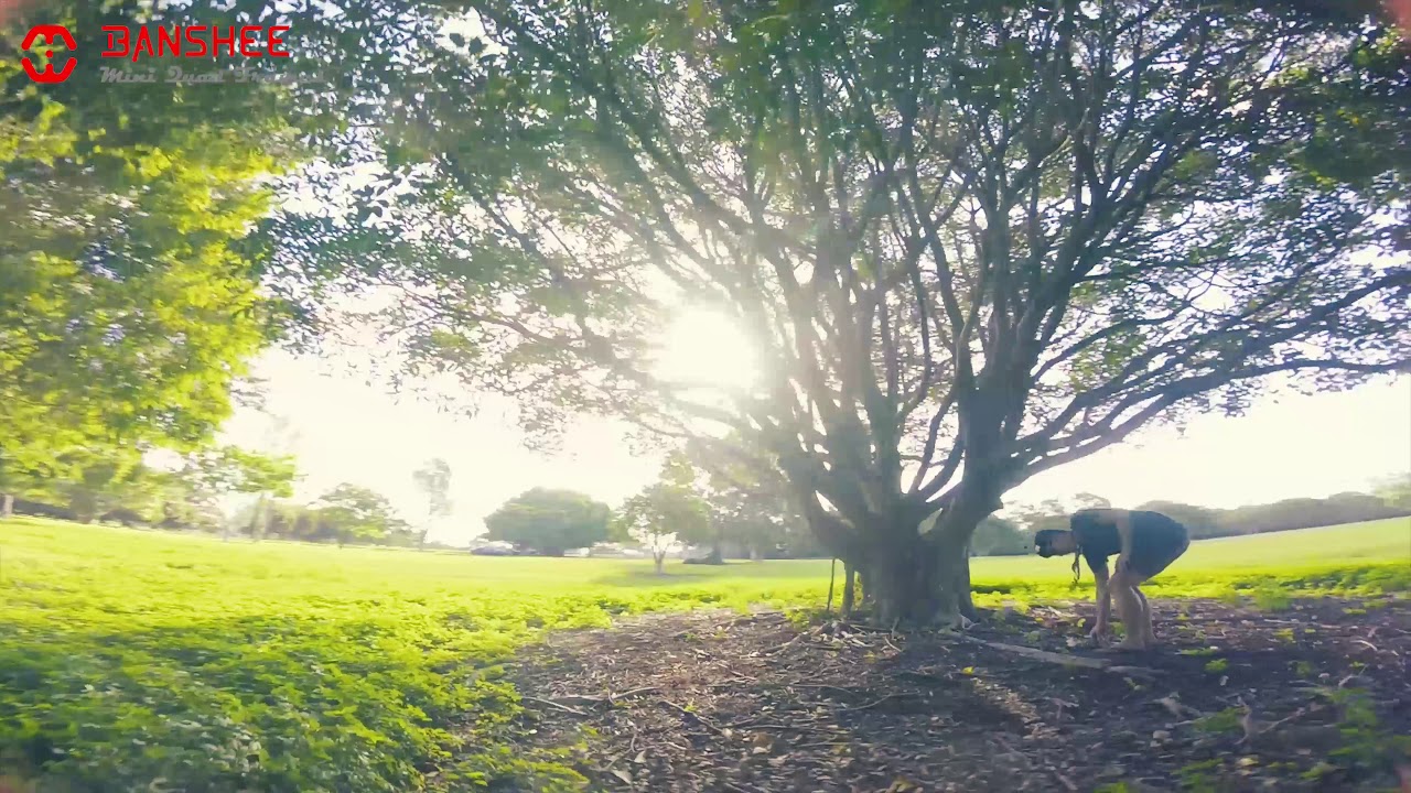 Bangers and Mash Butterflight - Banshee Frames - YouTube