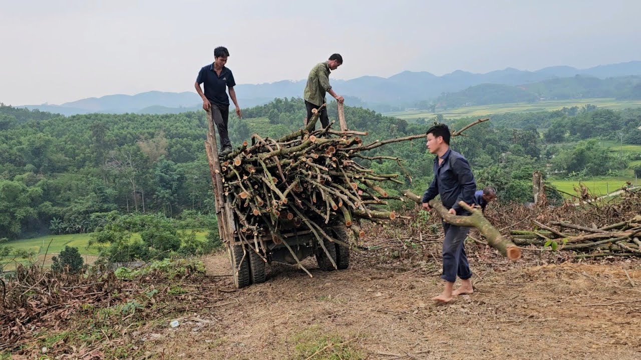 How farmers in mountainous areas of Vietnam exploit and transport wood ...