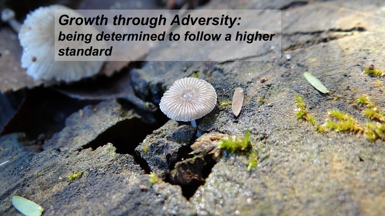 Growth Through Adversity - YouTube