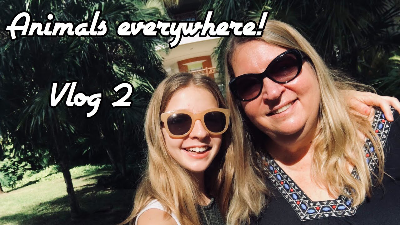 VLOG #2 - YouTube