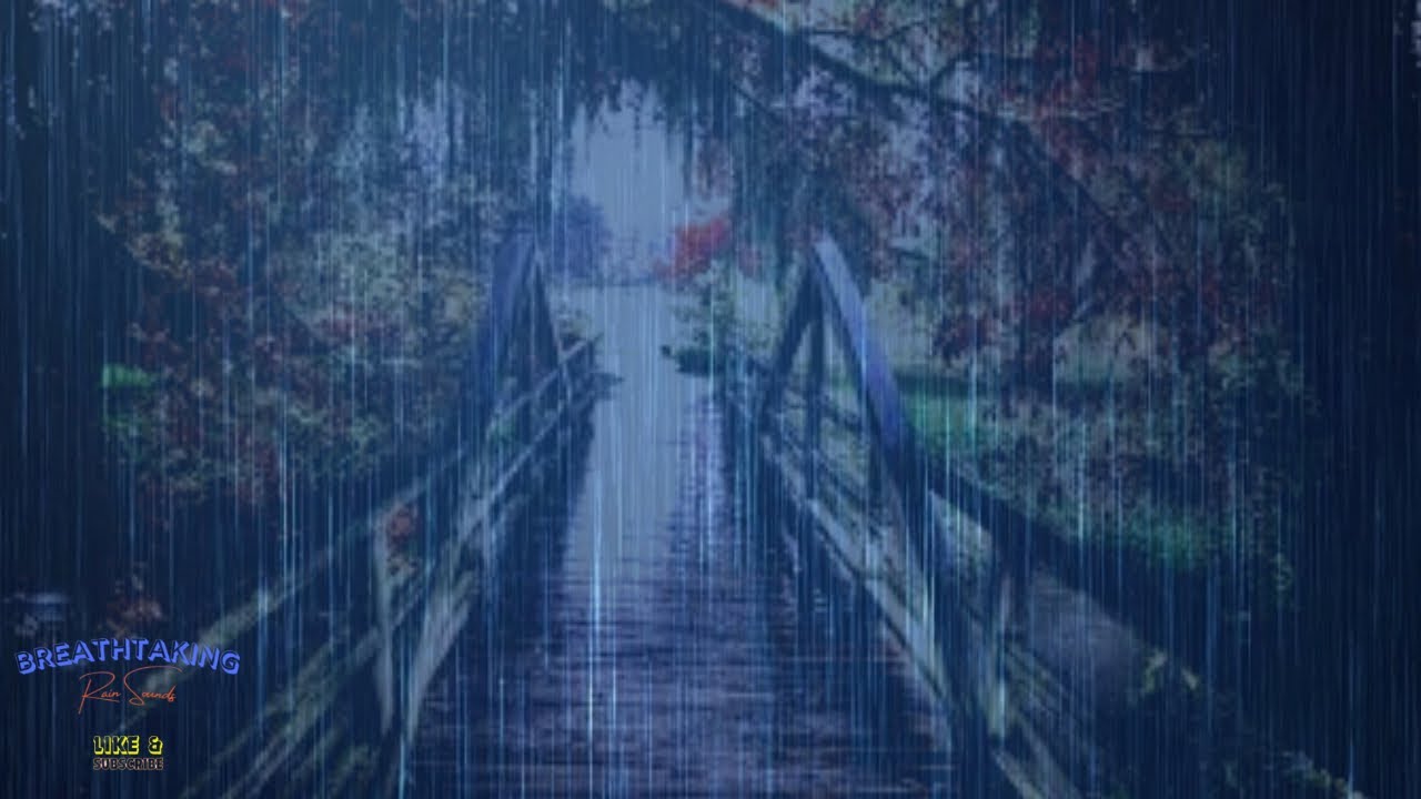 Rain on Wooden Bridge - Breathtaking Rain Sounds #Rain - YouTube