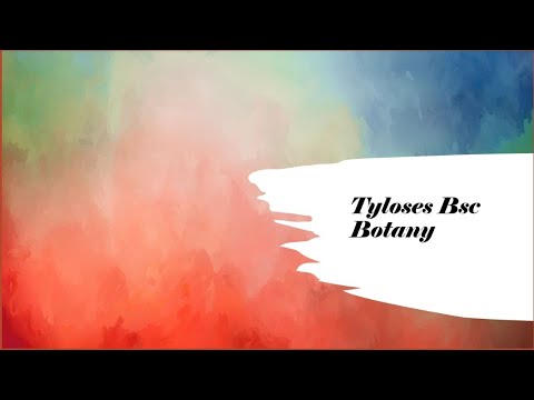 Tyloses Bsc Botany Anatomy - YouTube
