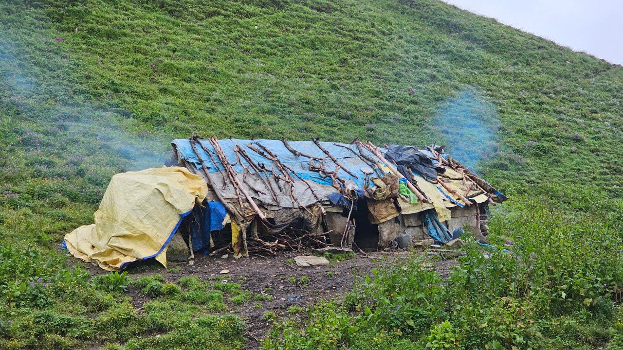 Himalayan Buffalo Shepherd's Living lifestyle| Primitive Life of ...