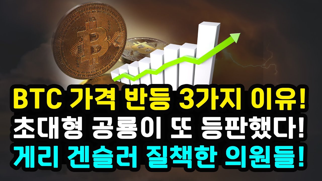 비트코인 가격 반등 3가지 이유 프랭클린 템플턴 현물 Etf 등판 게리 겐슬러 청문회 발언 Cpi 지수 발표와 금리 전망