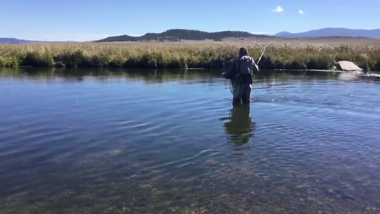 Fly fishing dream stream, pops show me how even after hatch5x,#26 dry ...