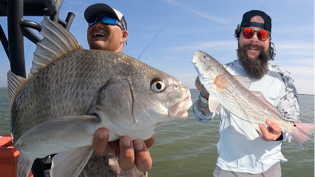 Black Drum & Redfish {Aransas Bay South Texas} - YouTube