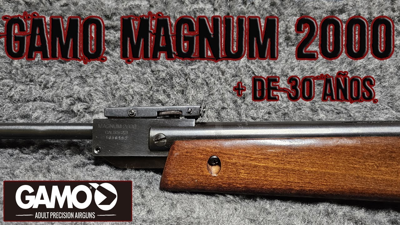GAMO MAGNUM 2000 5.5mm - YouTube