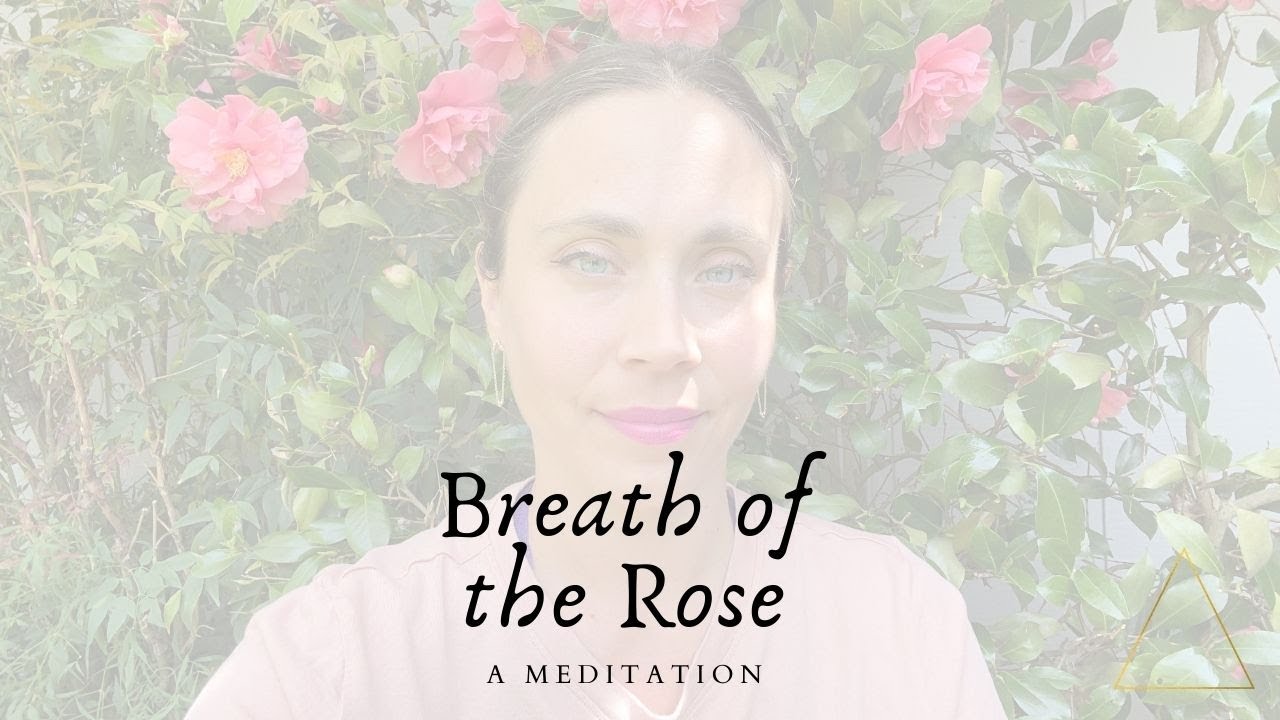 Meditation: Rose Breathing - YouTube