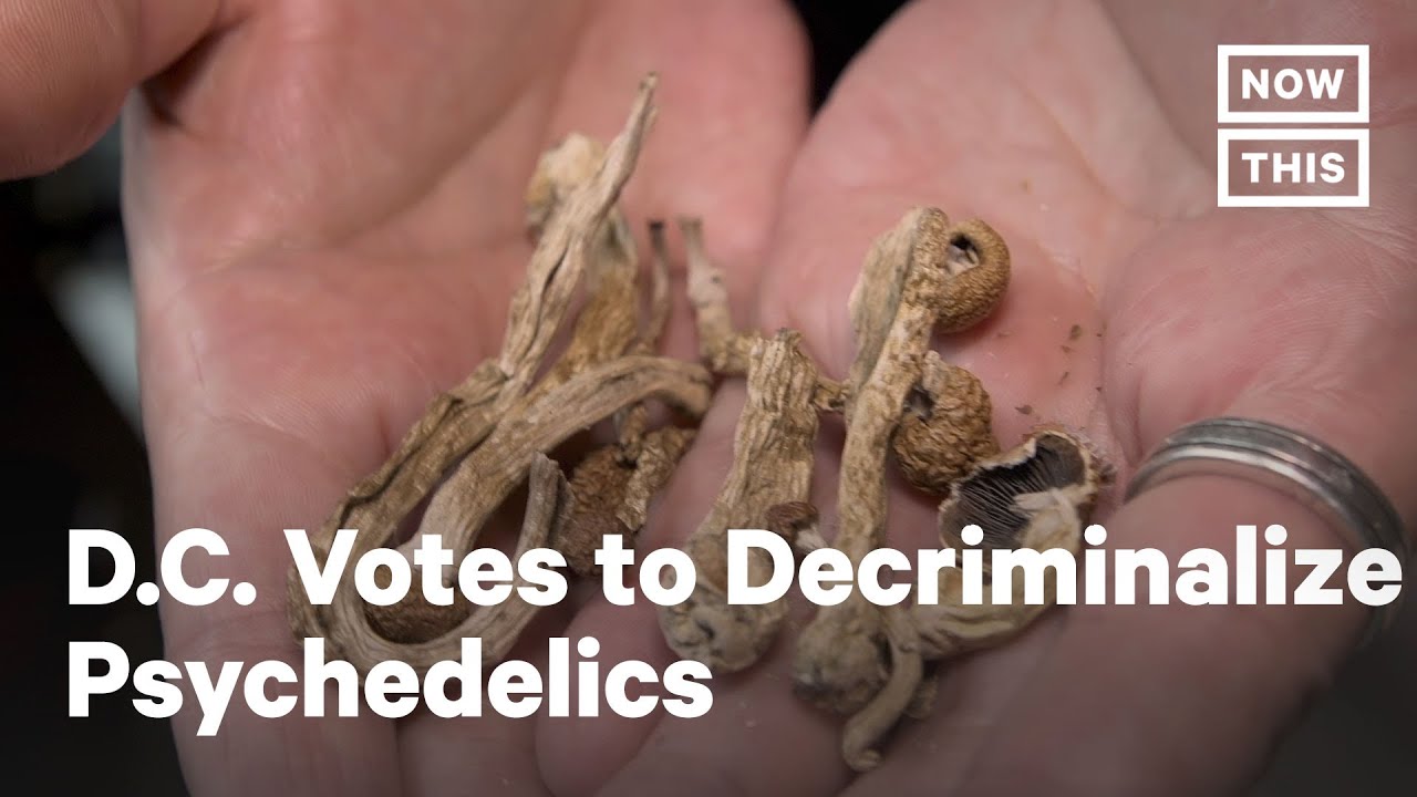 Washington, D.C. To Vote On Decriminalization of Psychedelics | NowThis ...