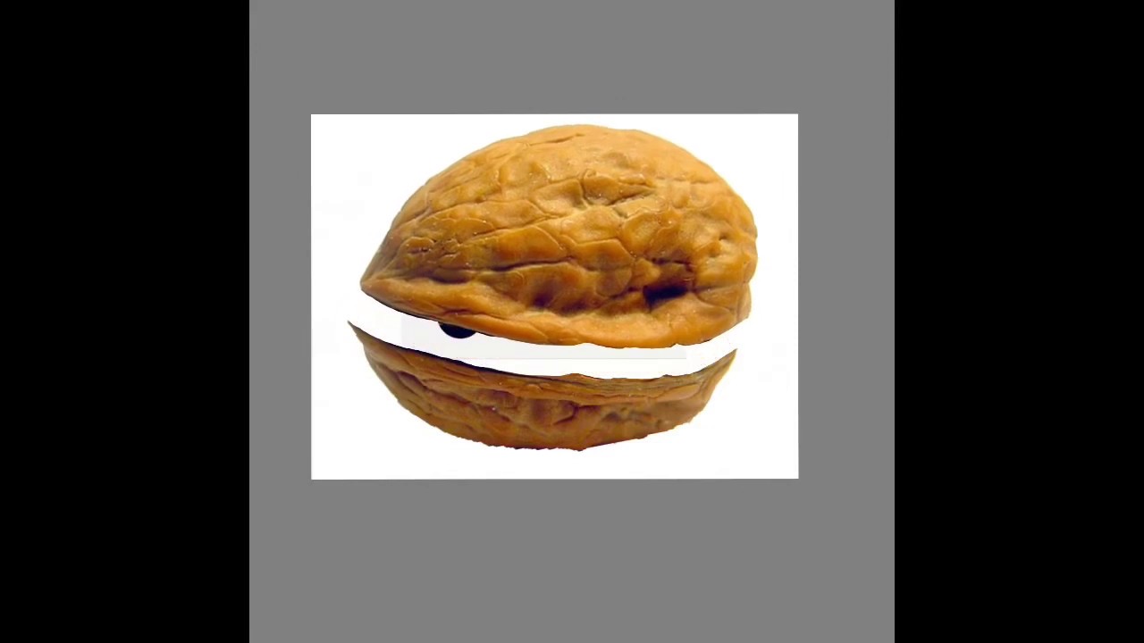 My Channel in a nutshell - YouTube