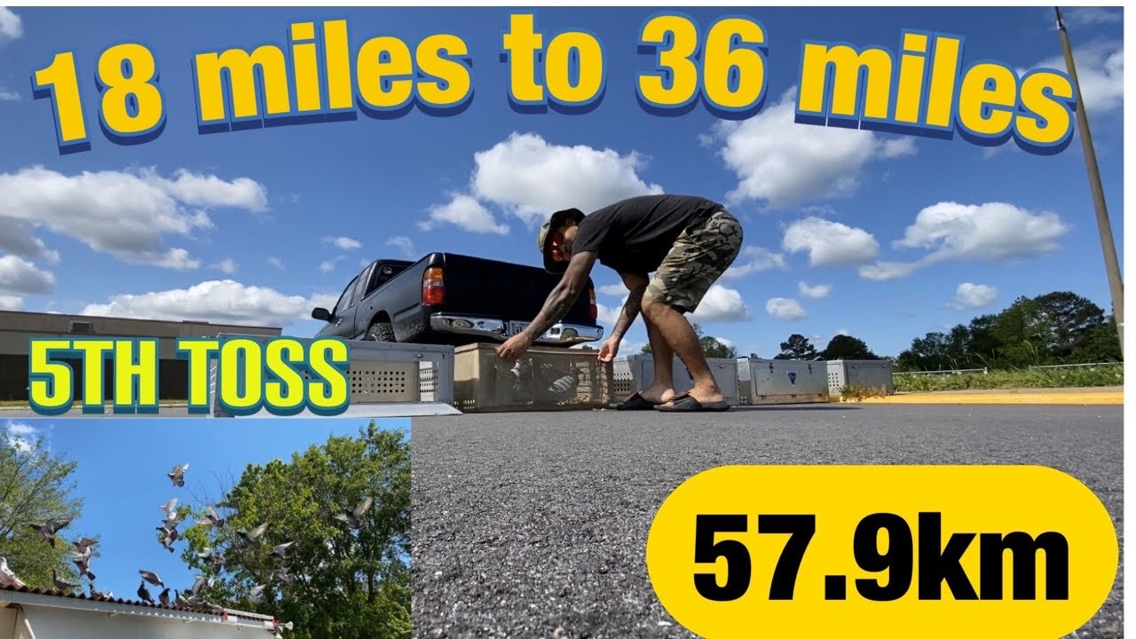 18 miles to 36 miles toss - Virginia Beach - YouTube