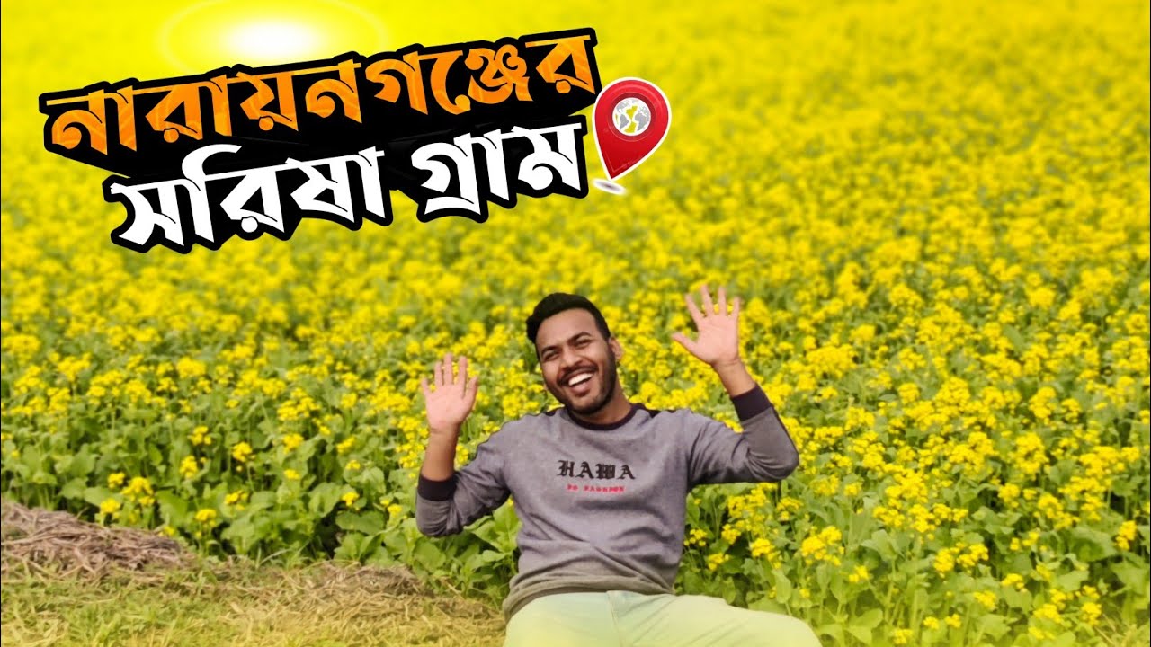 সরিষা ফুল | নারায়ণগঞ্জ এ বিশাল সরিষার গ্রাম | Sorisha ful | travel ...