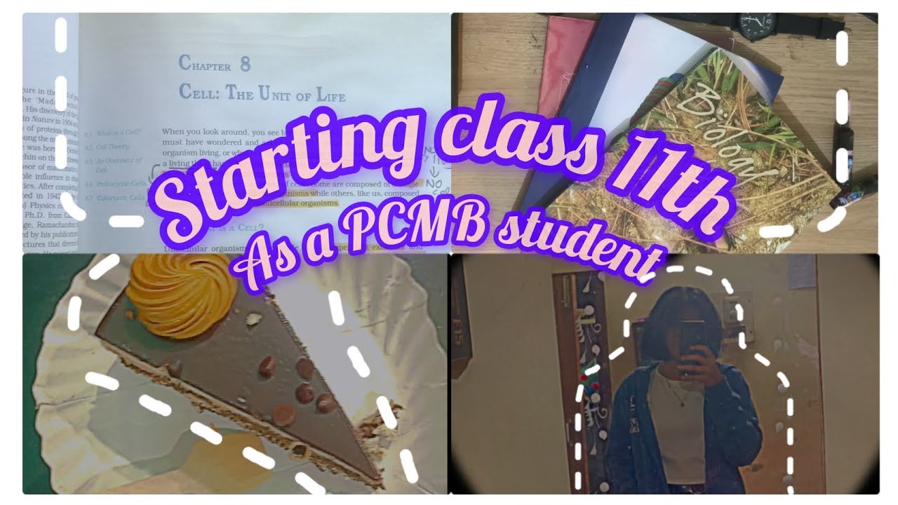 Study vlog as an 11 grader 🎀PCMB STUDENT 🎀 .... #productivity #class11 ...