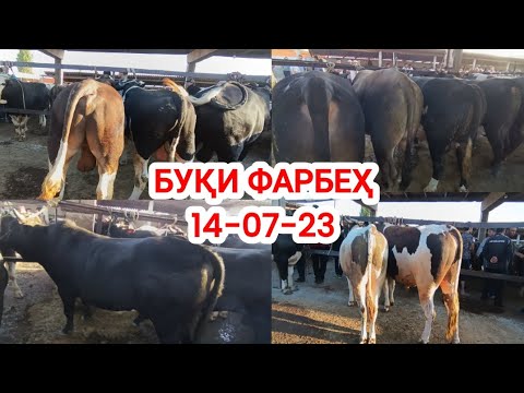 🙇ХУҶАНД МОЛБОЗОРИ ХИСТЕВАРЗ 🙇 - YouTube