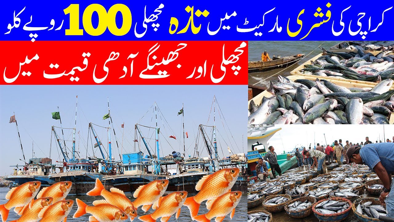 Karachi Fishery Current Fish Prices 2024 | Fish Market | Seafood ...