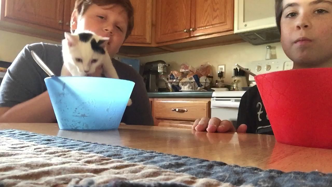 Reaction to gross food - YouTube