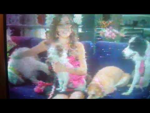 EmiLLY     SOUZA      LUiz     🐕🐰🐱🐀🐁🐔🐇🐢🐦🐤🐺🐃🐂🐄🐮🐴🐗