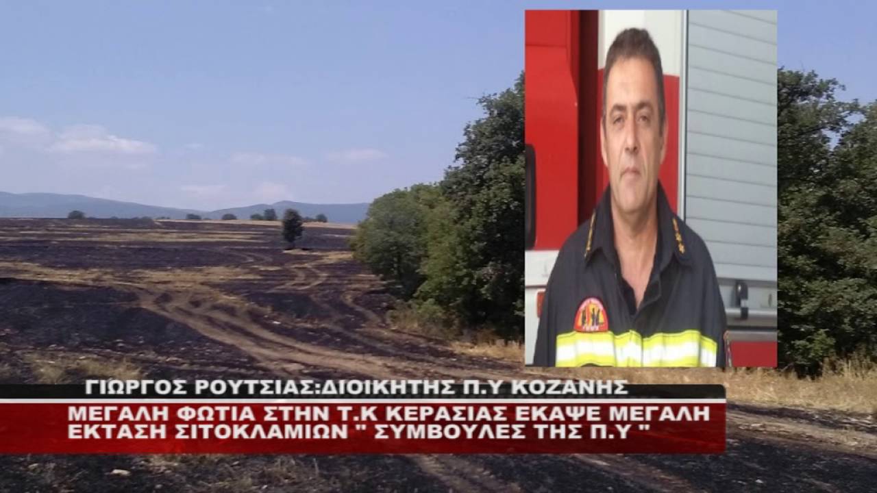 ΦΩΤΙΑ ΣΕ ΜΕΓΑΛΗ ΕΚΤΑΣΗ ΣΙΤΟΚΑΛΑΜΙΩΝ ΣΤΗΝ Τ.Κ ΚΕΡΑΣΙΑΣ " ΤΙ ΛΕΕΙ Ο ...