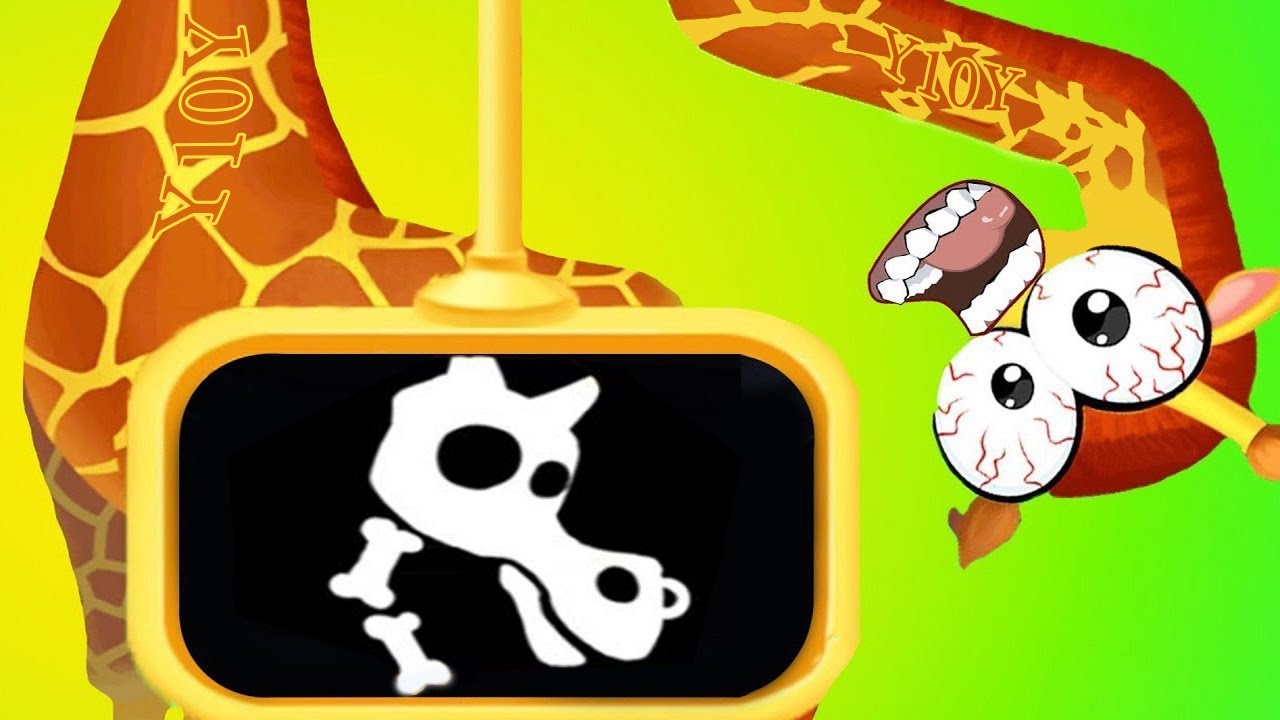 Fun Forest Animals Doctor - Jungle Doctor By Libii - Are U Ready to ...