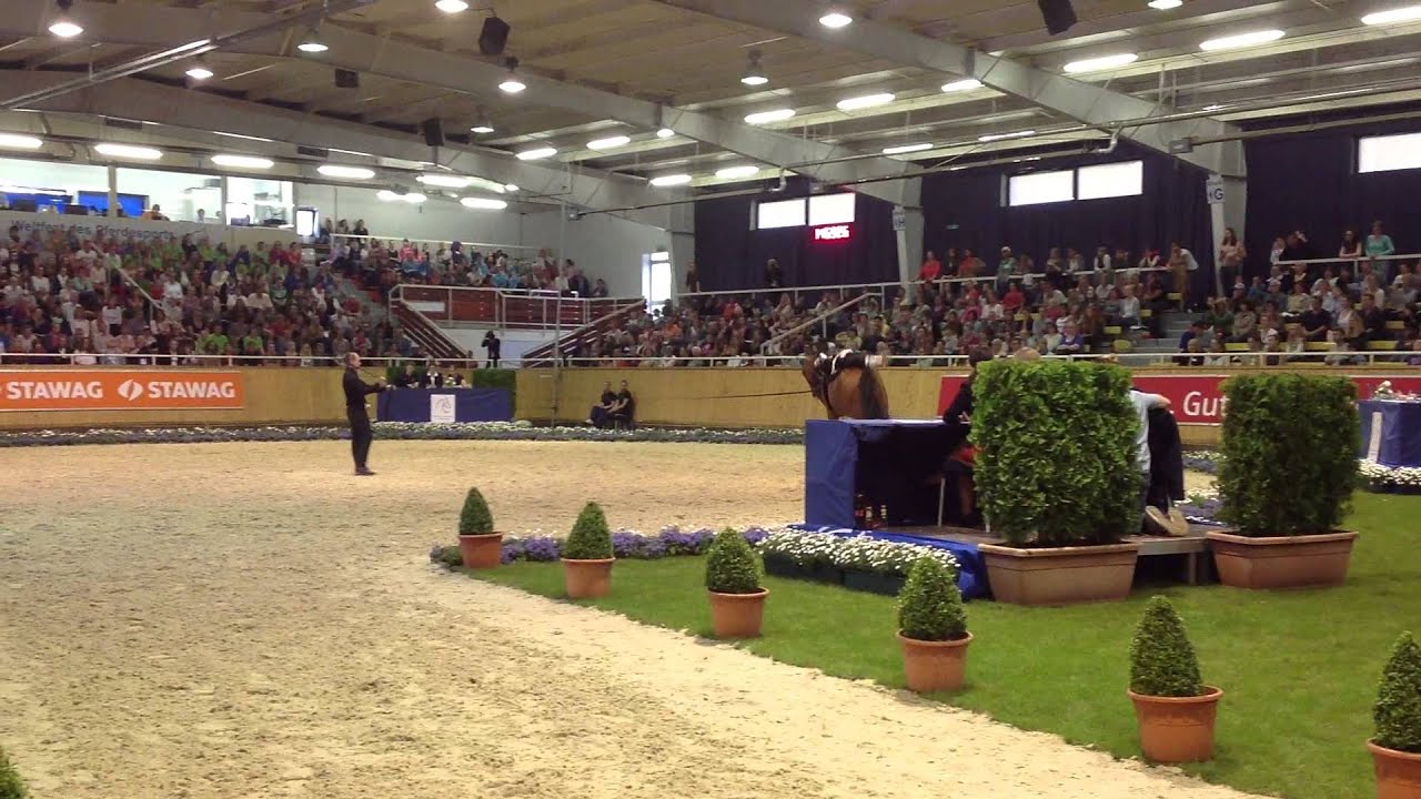 Maria Bondar Freestyle 2014 - YouTube