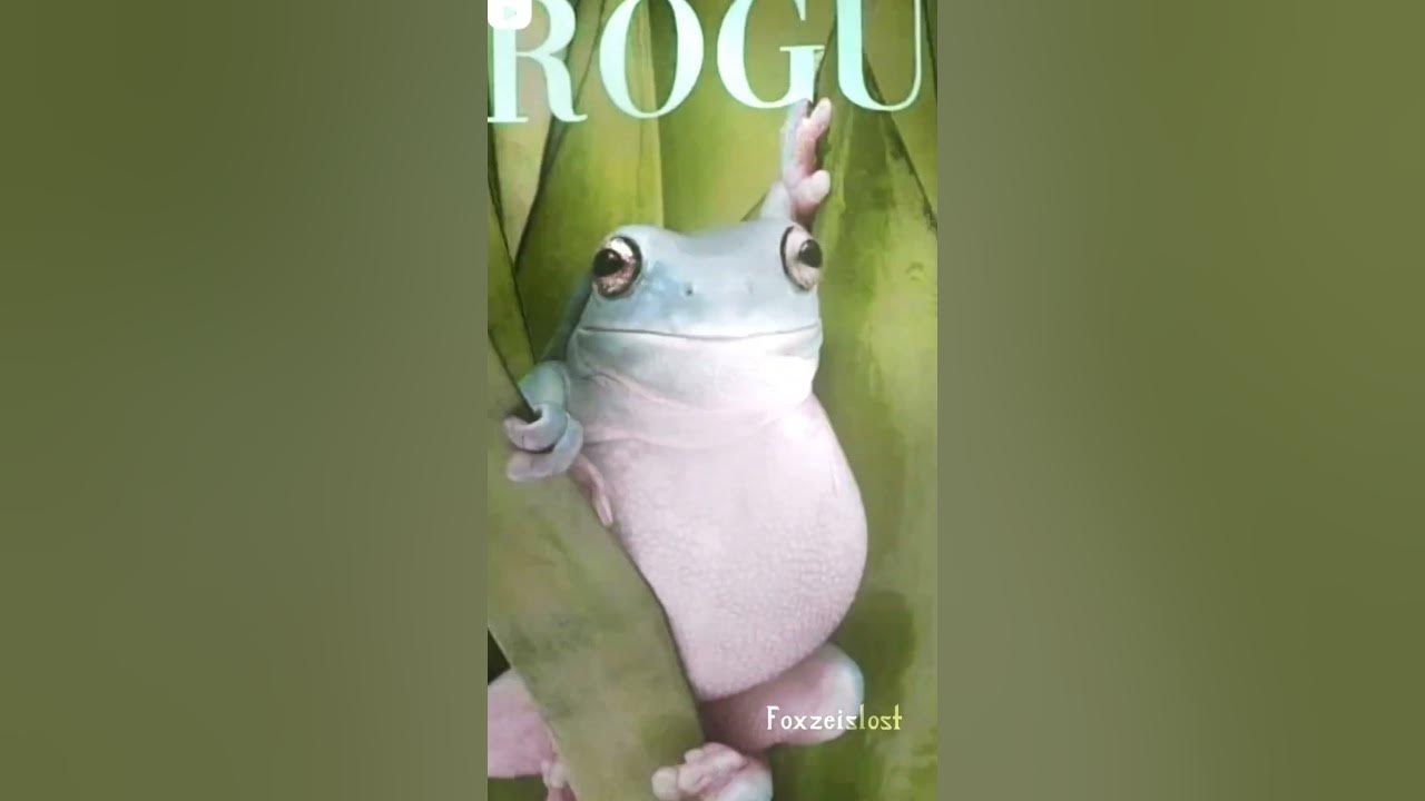 trrr trrrr trrrr #funny #shorts #funnyshorts #trending - YouTube