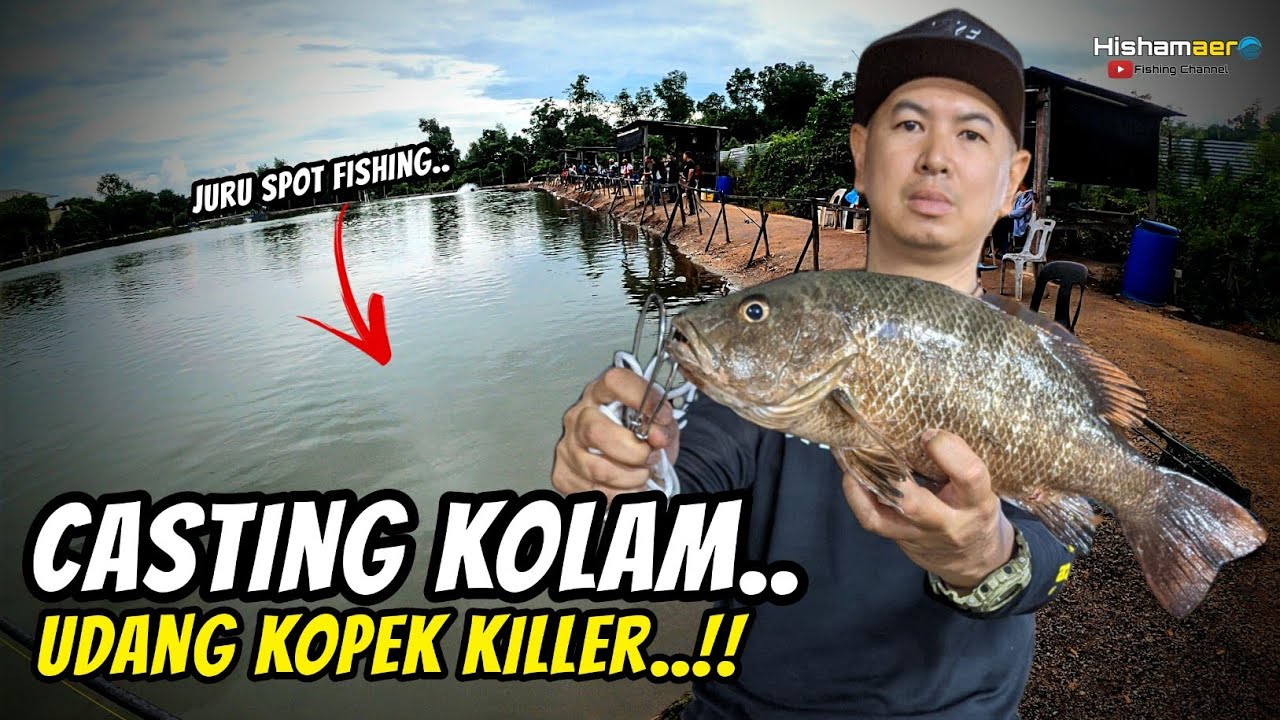 💢 Mancing Ikan Kolam Air Masin 2022 lagi!! | Juru Spot Fishing - YouTube