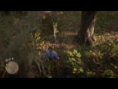 RIP SQUIRREL LOL | Red Dead Redemption 2 - YouTube