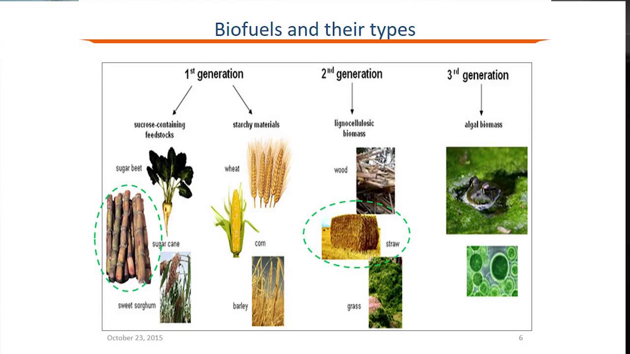 Life Cycle Assessment of Biofuels in India and its Impact on Indian ...