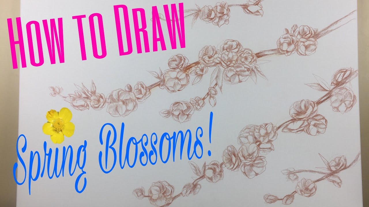 How to Draw Spring Blossoms - By Artist, Andrea Kirk | The Art Chik ...