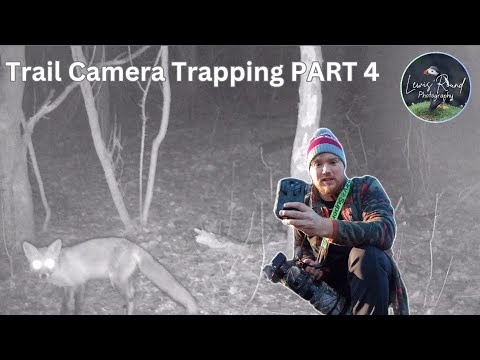 UK Wildlife Camera Trapping in Preparation for Spring PART 4 - YouTube