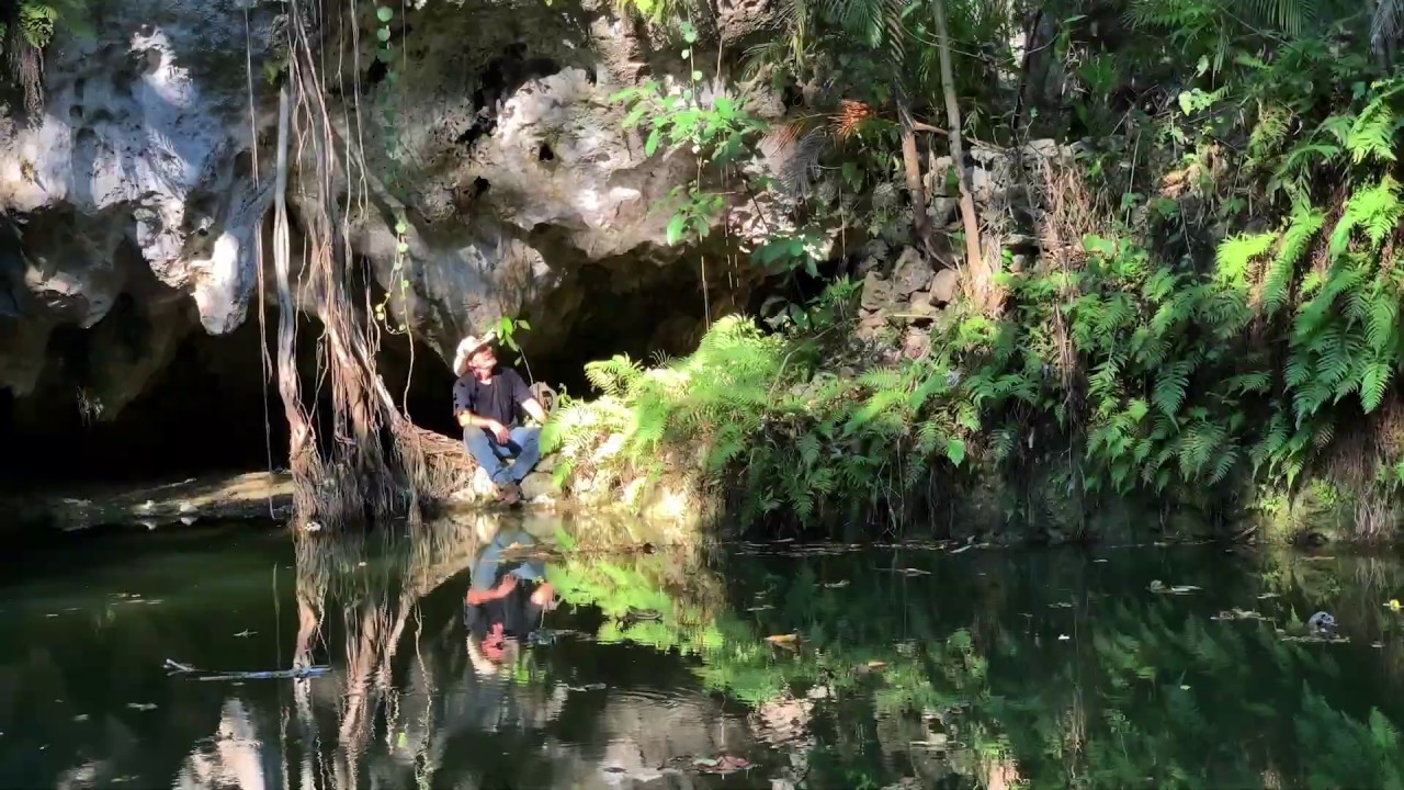 Discover a hidden cenote in the Yucatan jungle. - YouTube